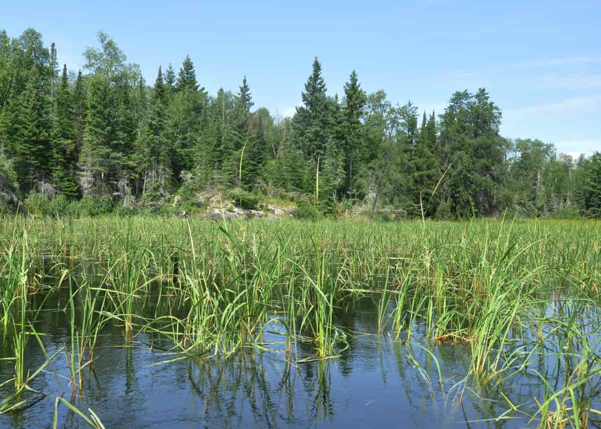 Spring - The Best Meal Kits & Recipe Boxes UAE