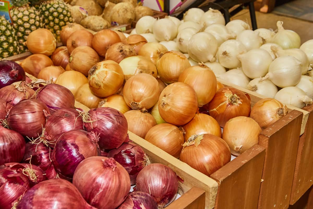 Spring - The Best Meal Kits & Recipe Boxes UAE